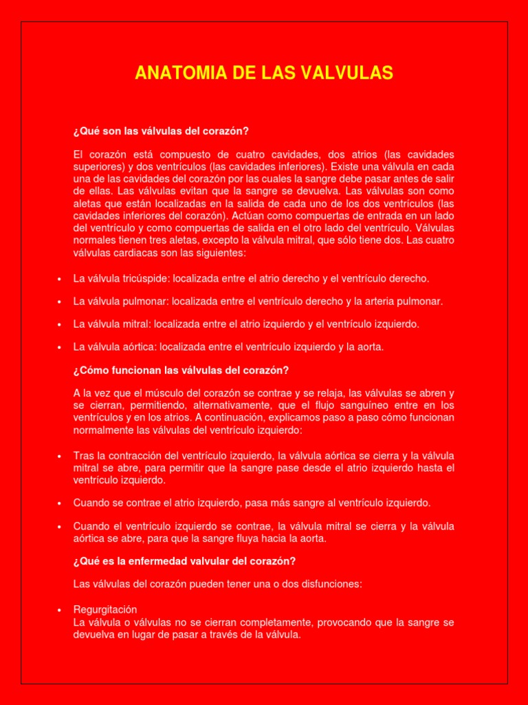 Anatomia de Las Valvulas | PDF | Ventrículo (corazón) | Corazón