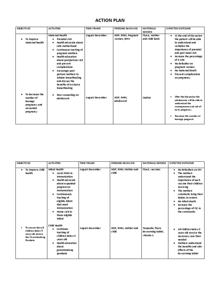 Action Plan | PDF | Maternal Health | Pregnancy