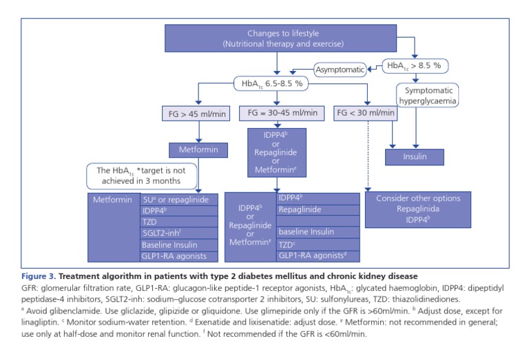 Treatment Algorithm | PDF | Renal Function | Glycated Hemoglobin