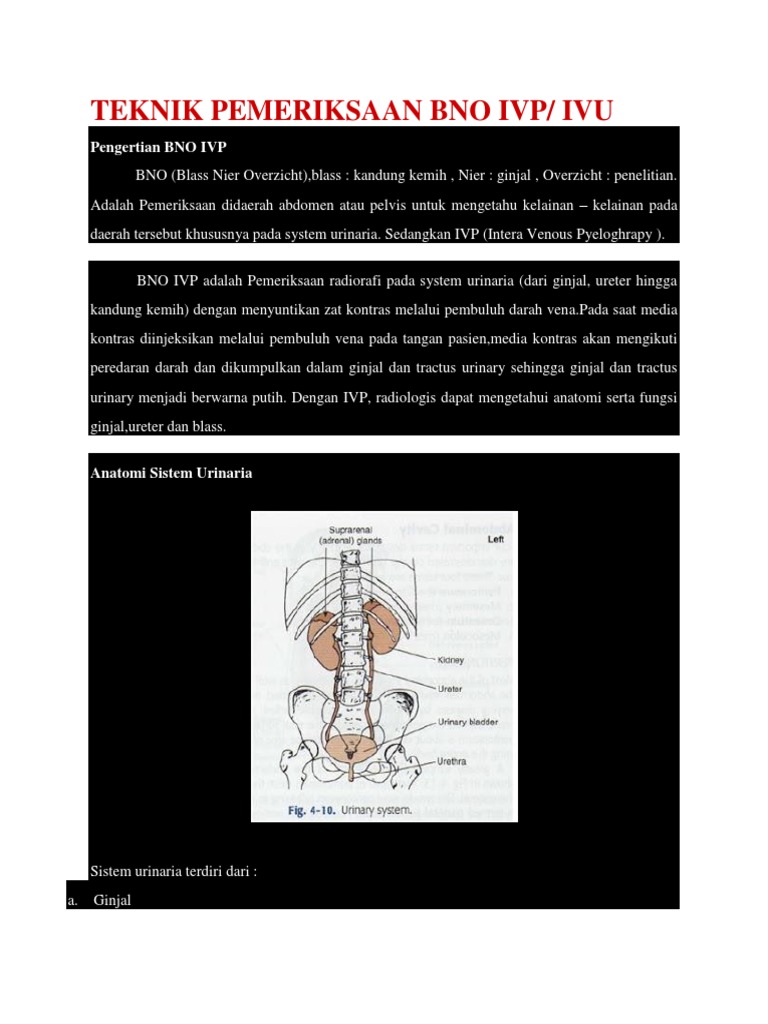 Teknik Pemeriksaan Bno Ivp | PDF