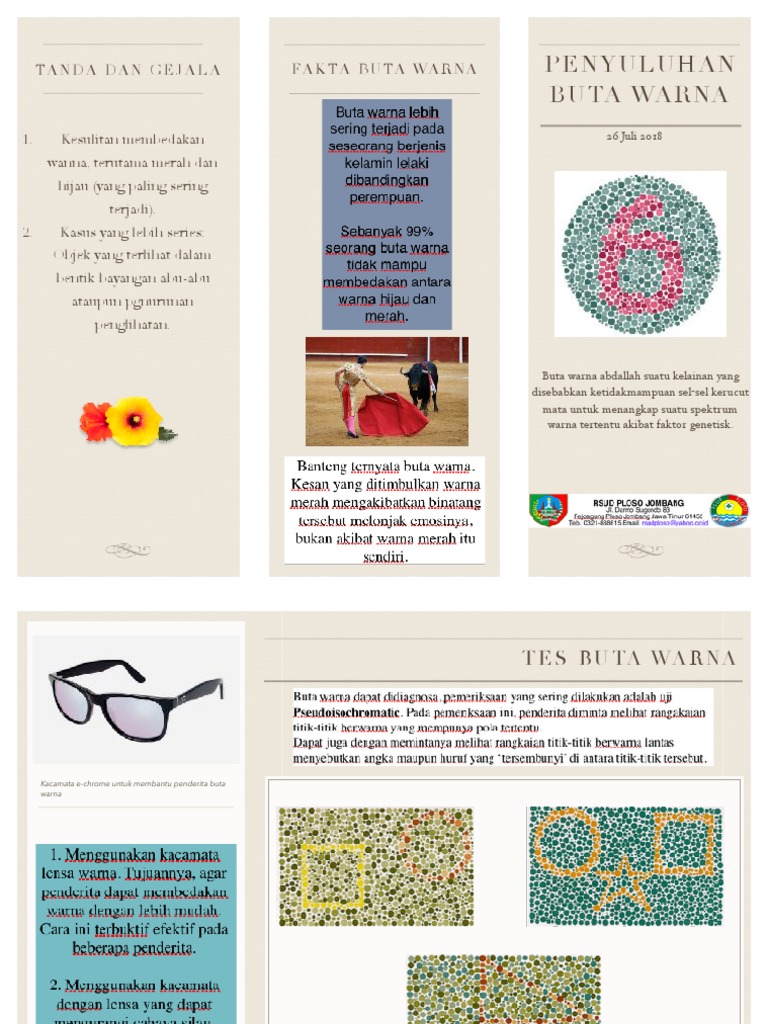 Leaflet Buta Warna PDF | PDF