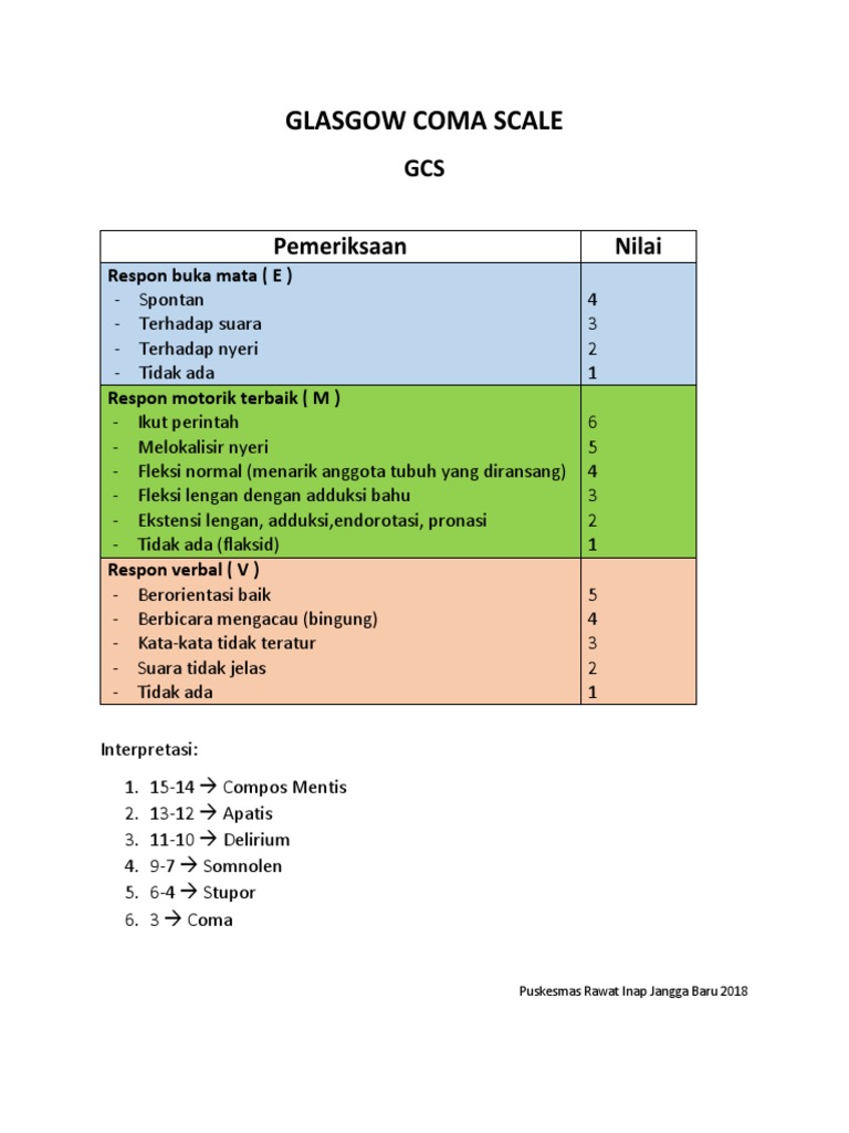 Glasgow Coma Scale | PDF
