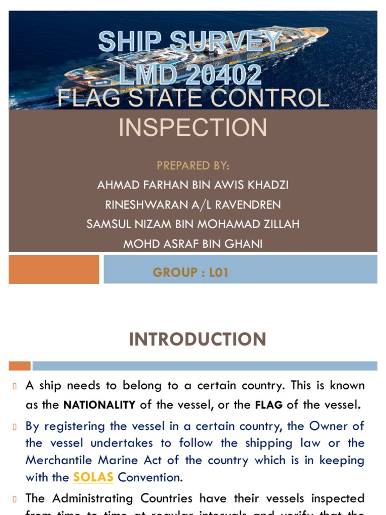 Flag State Control Inspection | PDF | Government | Government Information