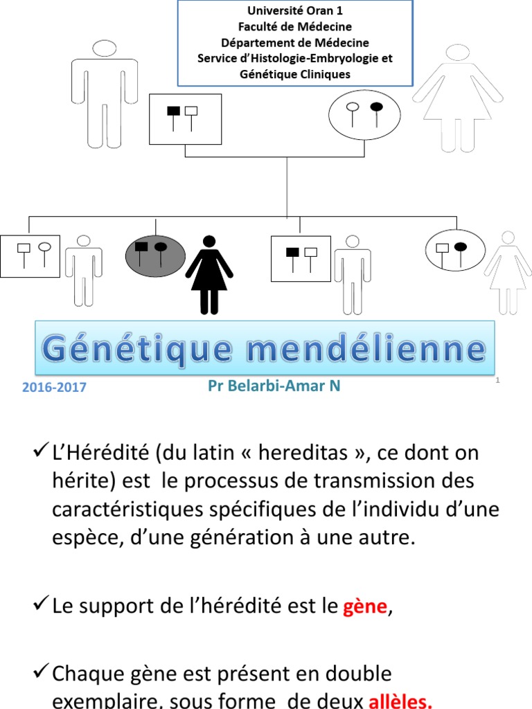 Génétique Mendelienne | PDF | Hérédité | Allèle