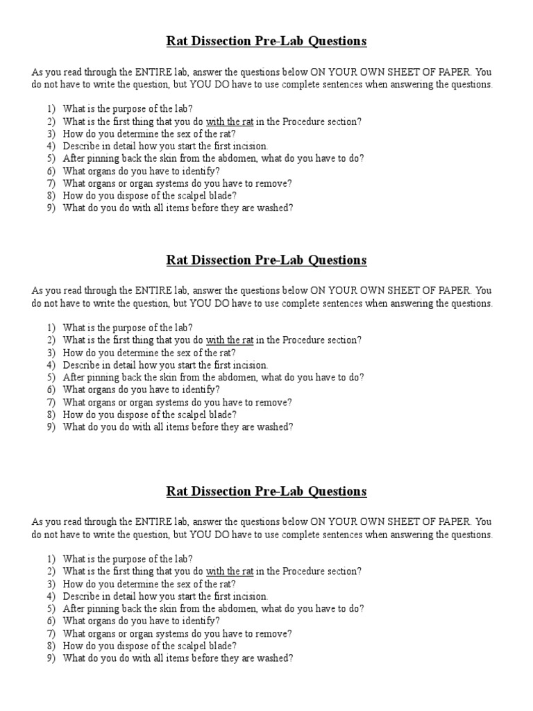 Rat Dissection Pre-Lab Guide | PDF | Self-Improvement | Wellness