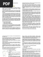 Marcha en Tándem | PDF