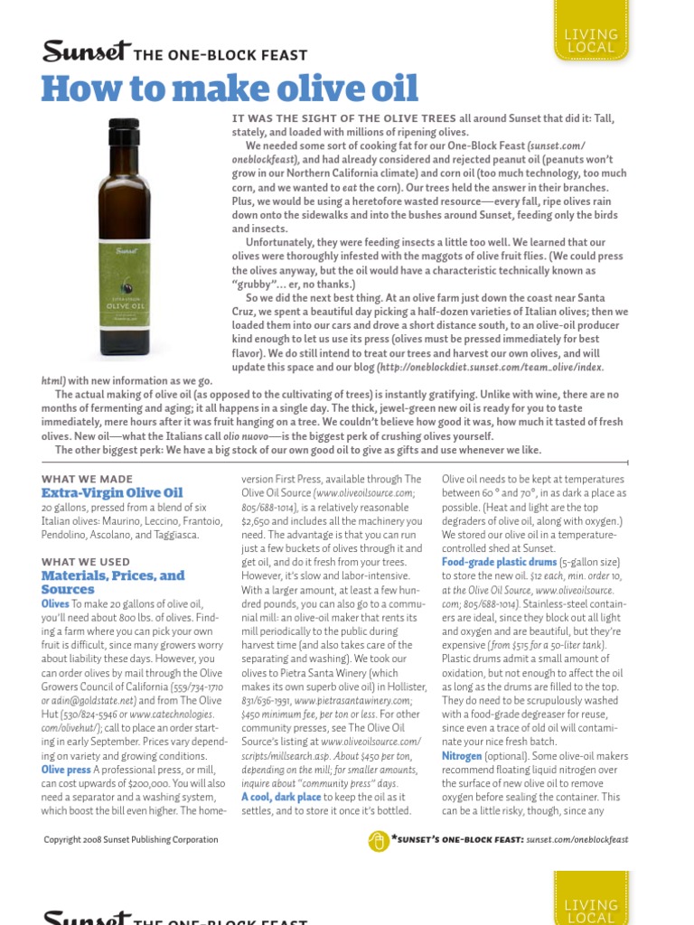 How To Make Olive Oil | PDF | Olive | Olive Oil