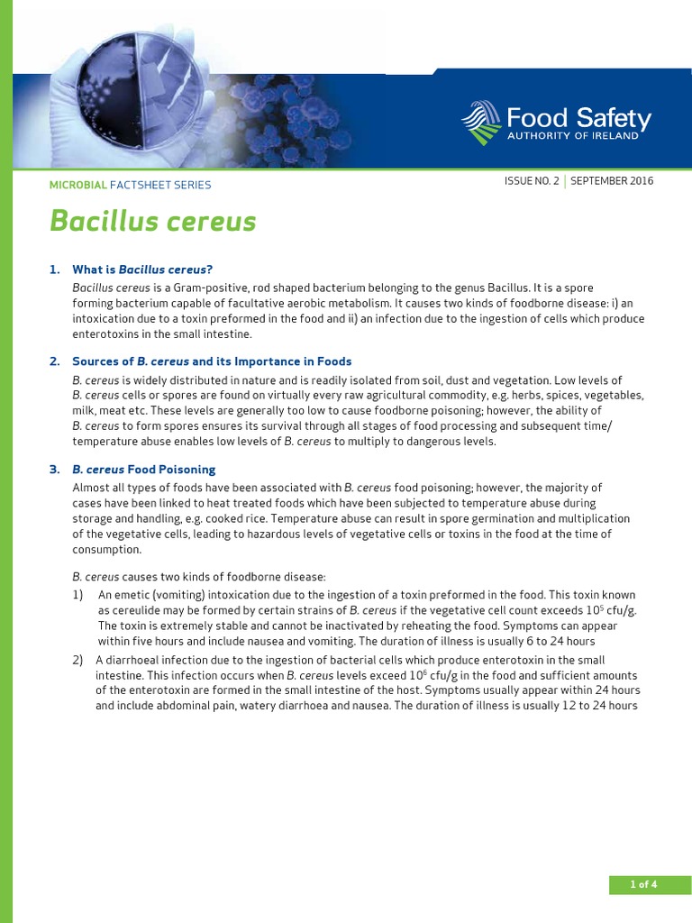 Bacillus Cereus Factsheet 2016 FINAL ACCESSIBLE | PDF | Foodborne ...