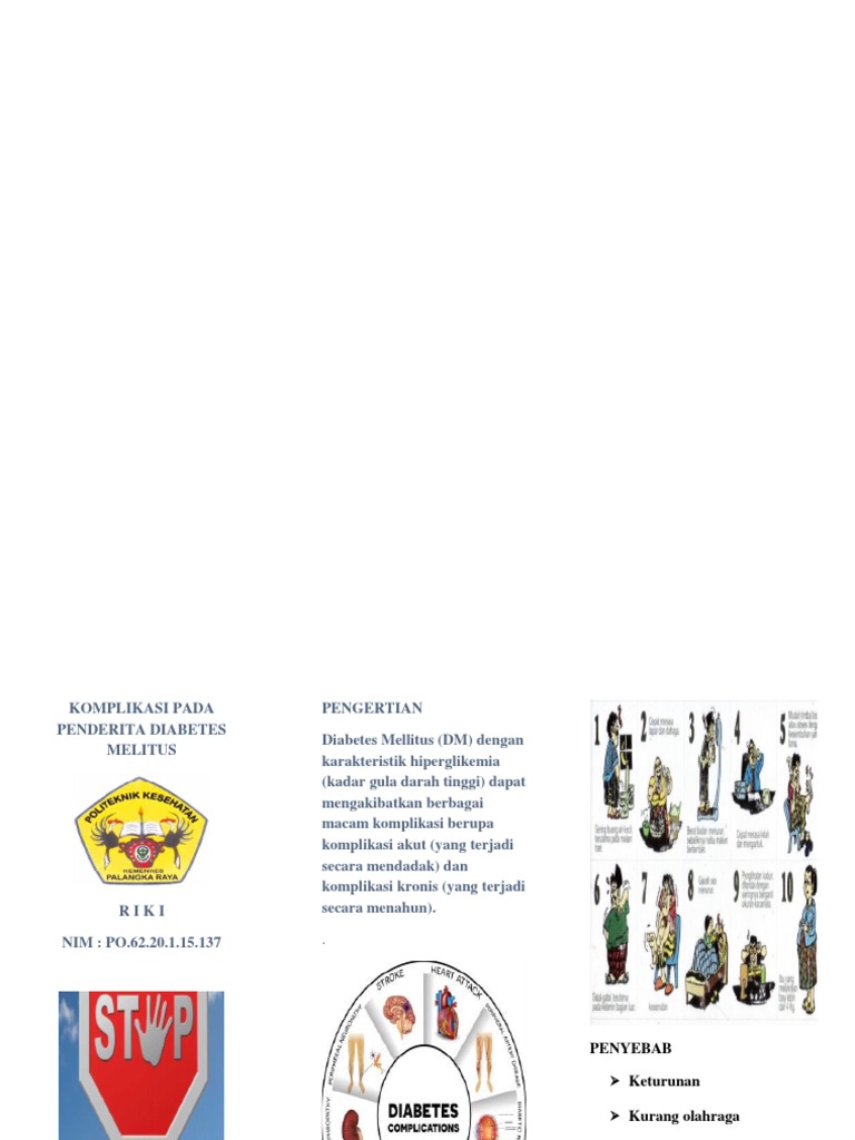 Leaflet Komplikasi DM | PDF