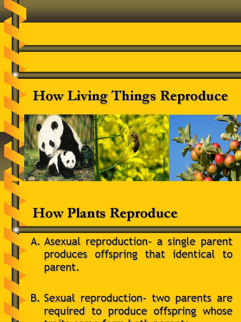 How Living Things Reproduce | PDF | Rna | Biosynthesis