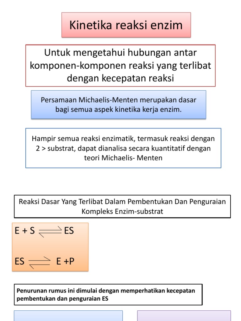 Kinetika Reaksi Enzim | PDF