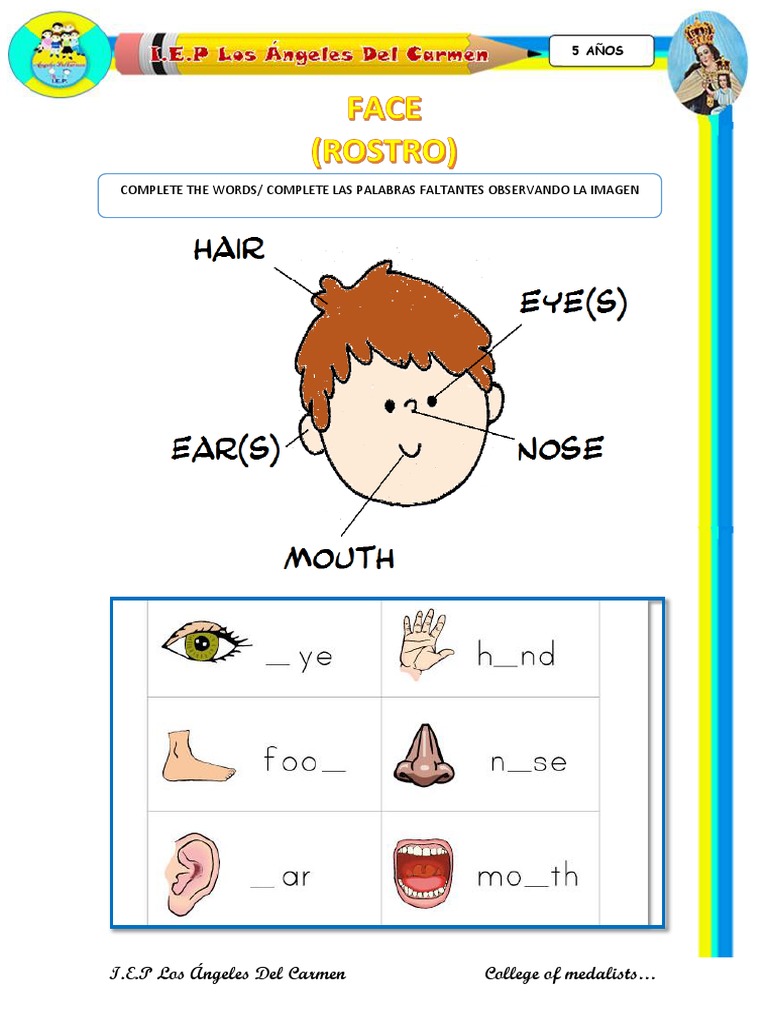Guia Parts of The Body | PDF | Artes del Lenguaje y Comunicación