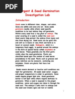 Seed Germination Lab Report Rubric