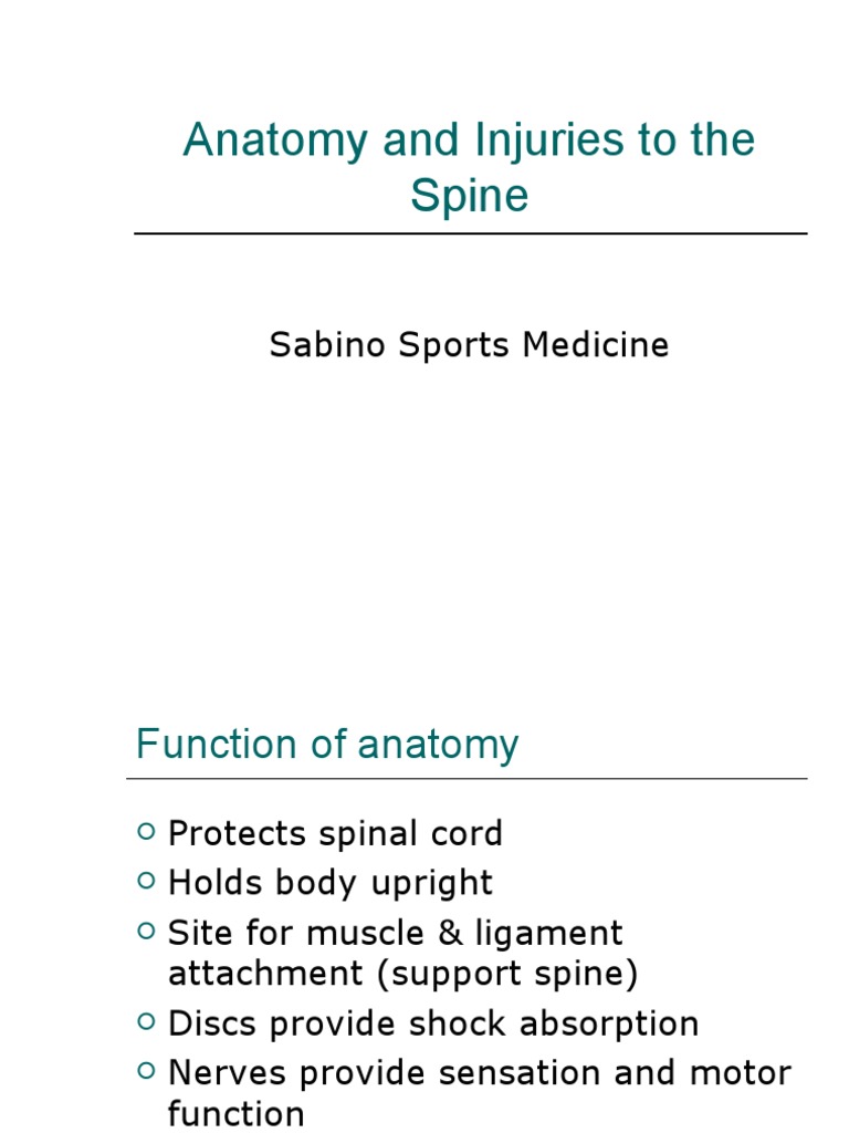 Spine Anatomy and Injury Prevention Guide | PDF | Vertebral Column ...