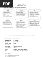 RPPH Tema Tanaman Sub Tema Buah Buahan | PDF | Karier & Perkembangan | Sains & Matematika
