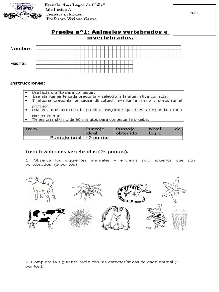 Prueba de Ciencias Naturales Animales Vertebrados e Invertebrados | PDF ...