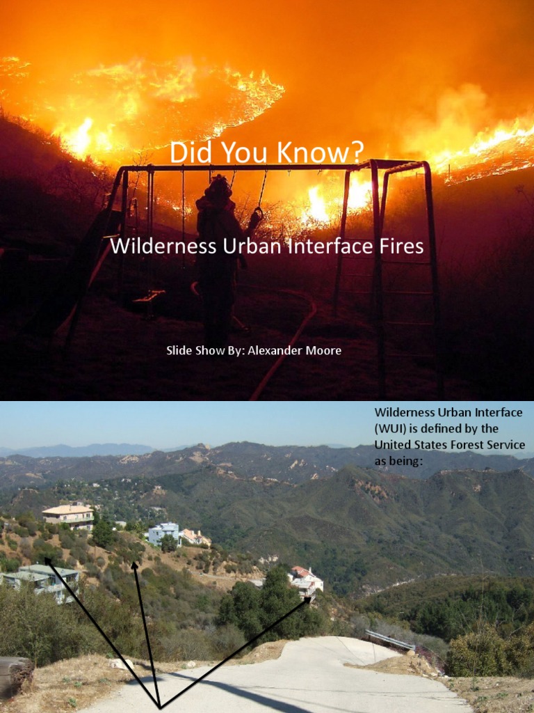 Did You Know WUI | PDF | Wildfire | Natural Environment