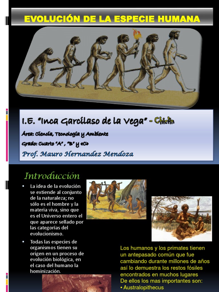 EVOLUCION DE LA ESPECIE HUMANA.ppt | Evolución humana | Homo