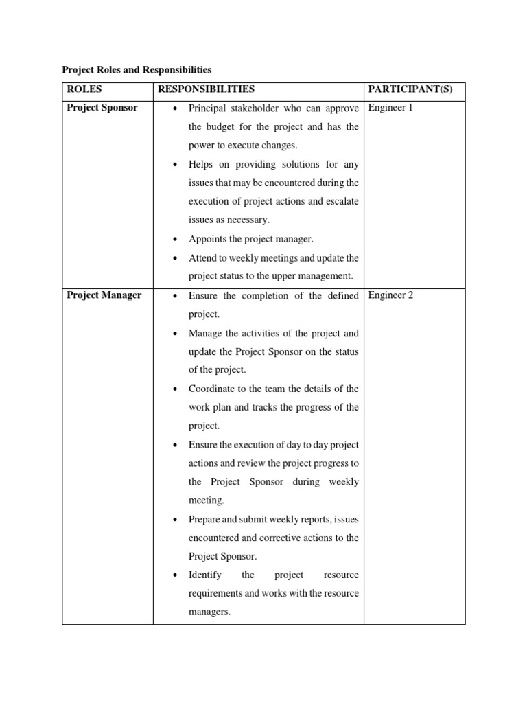 Project Roles and Responsibilities Overview | PDF | Business ...