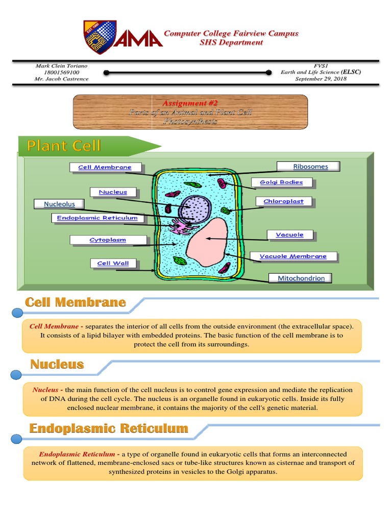 Assignment #2: Computer College Fairview Campus SHS Department | PDF ...