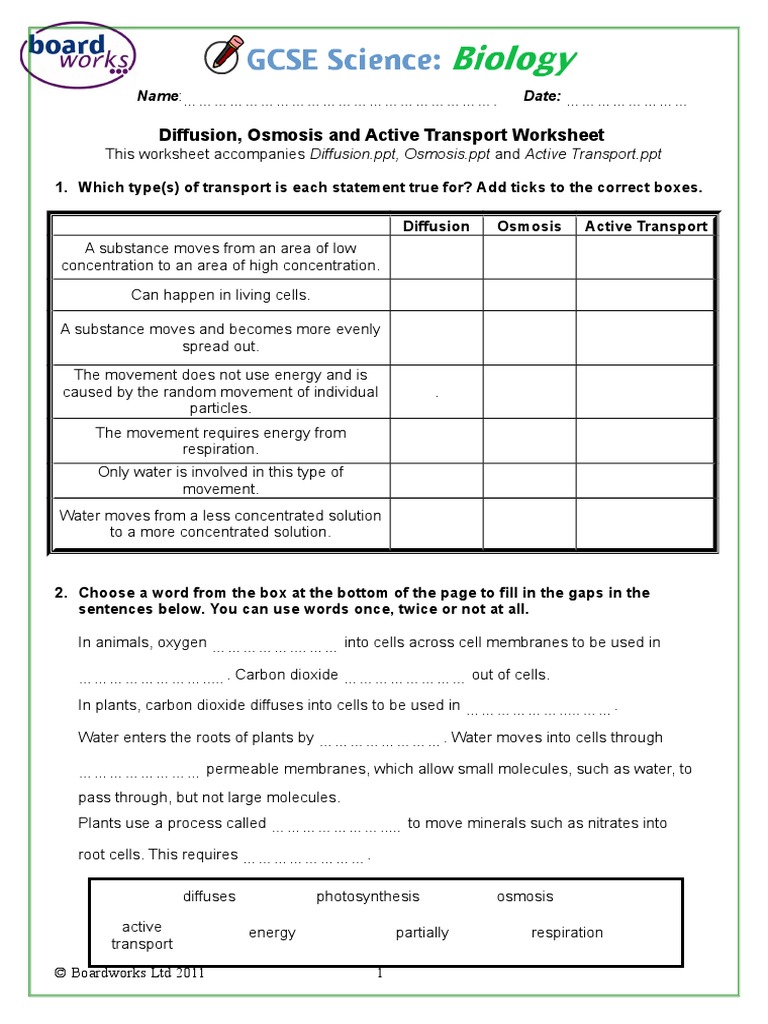 Diffusion Osmosis and Active Transport Worksheet | Download Free PDF ...