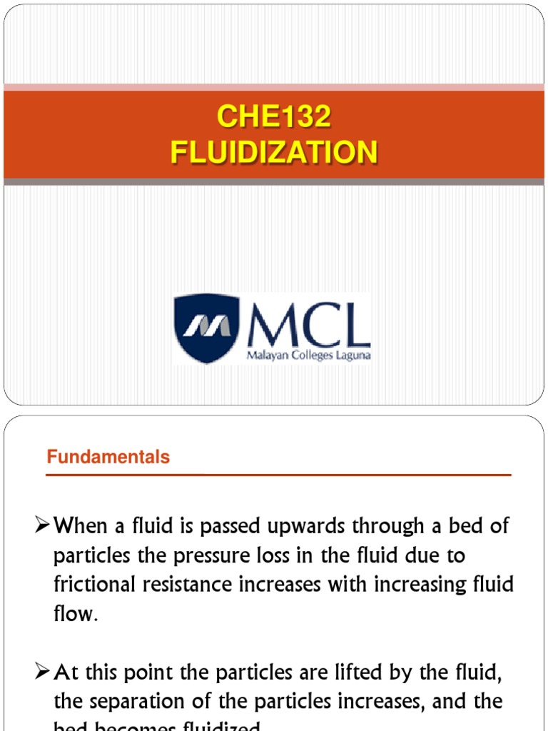 Fluidization REV1 PDF | PDF