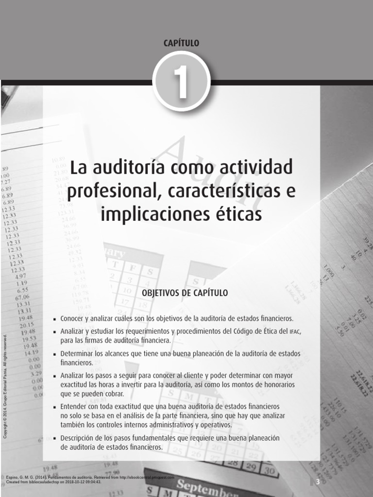 Fundamentos de La Auditoria | PDF | Auditoría | Teneduría de libros