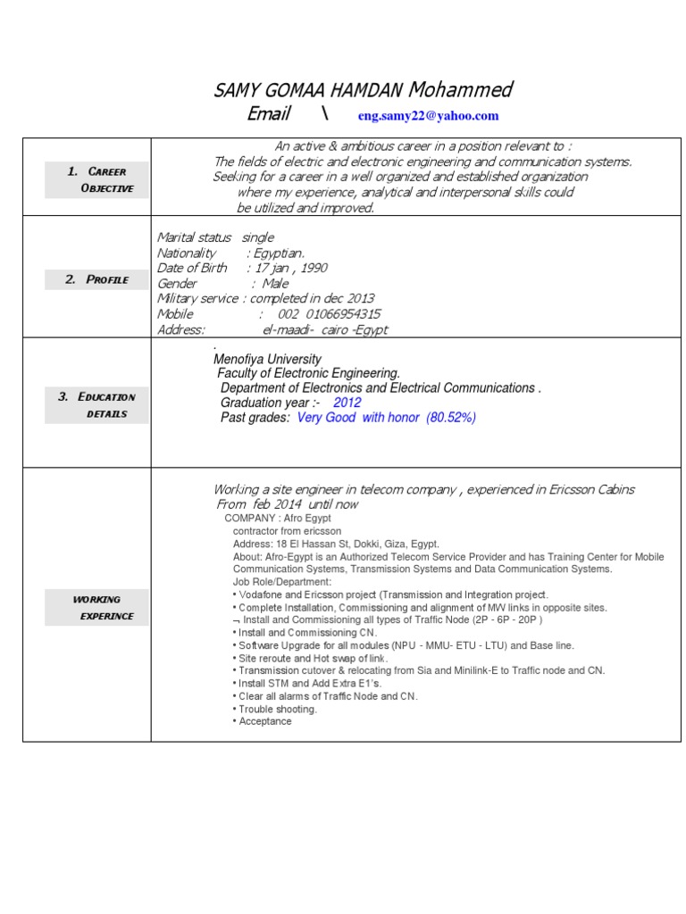 Samy Gomaa Hamdan Email: Mohammed | PDF | Electronics | Computer Architecture