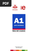 Guía Completa DELE A2: Exámenes y Tareas | PDF