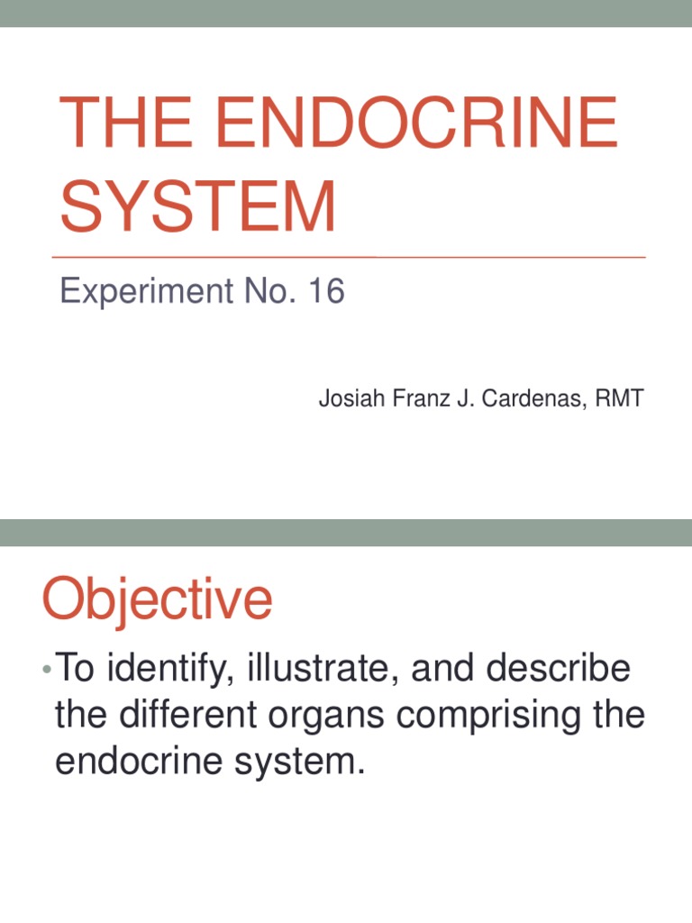 The Endocrine System: Experiment No. 16 | PDF