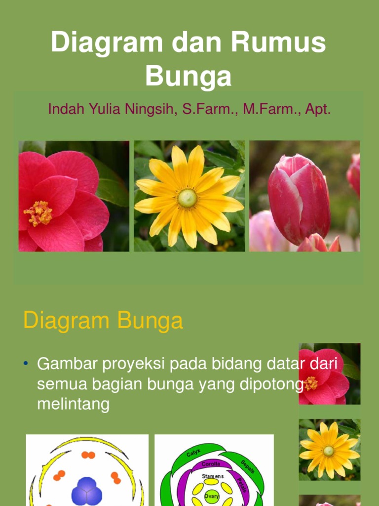 rumus n diagram bunga 2017 ok.pptx