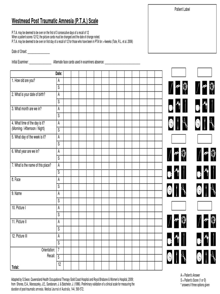 Escala De Descriptor Verbal
