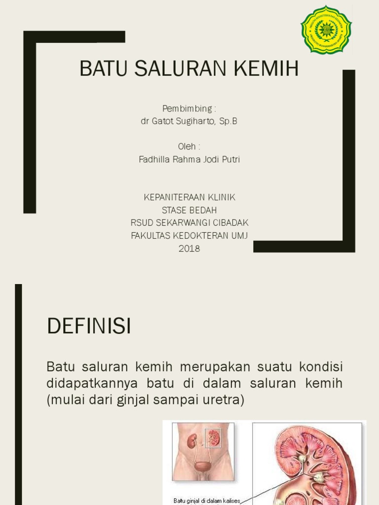 Batu Saluran Kemih | PDF