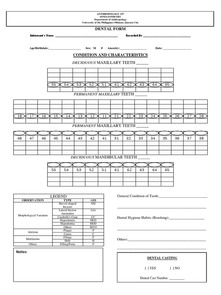 Dental Form v2 | PDF | Human Tooth | Facial Features
