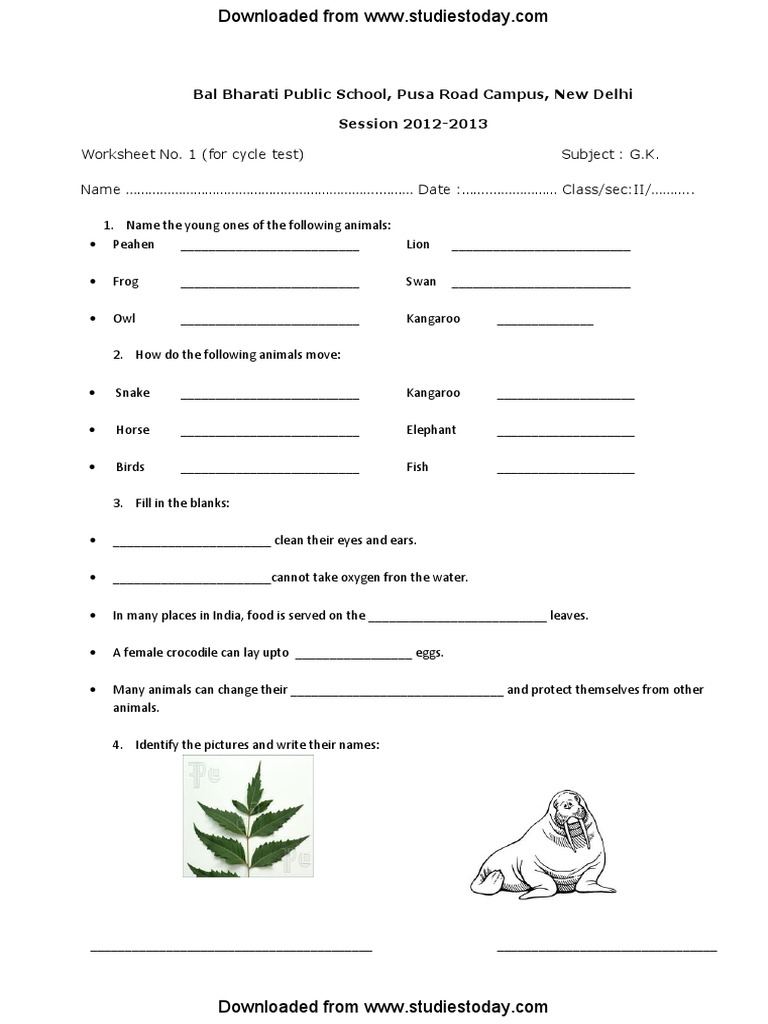 CBSE Class 2 GK Practice Worksheet PDF | PDF