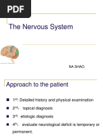 Pyramidal vs Extrapyramidal Tracts | PDF | Neuroscience | Neuroanatomy