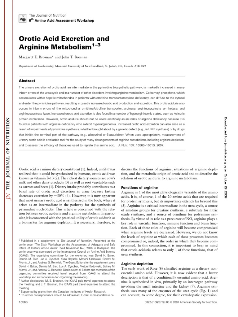 Orotic Acid Excretion and Arginine Metabolism | PDF | Arginine ...