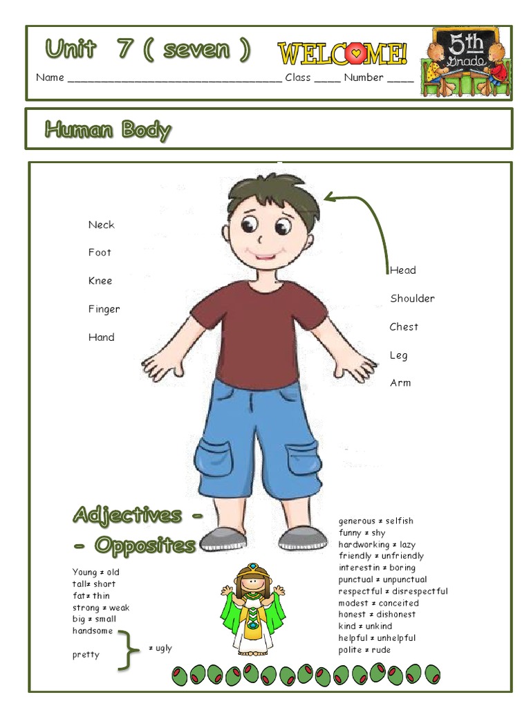 Name - Class - Number | PDF