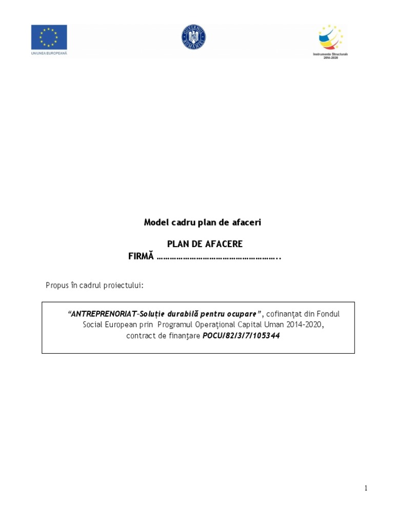 Anexa 23 - Model Plan Afaceri | PDF