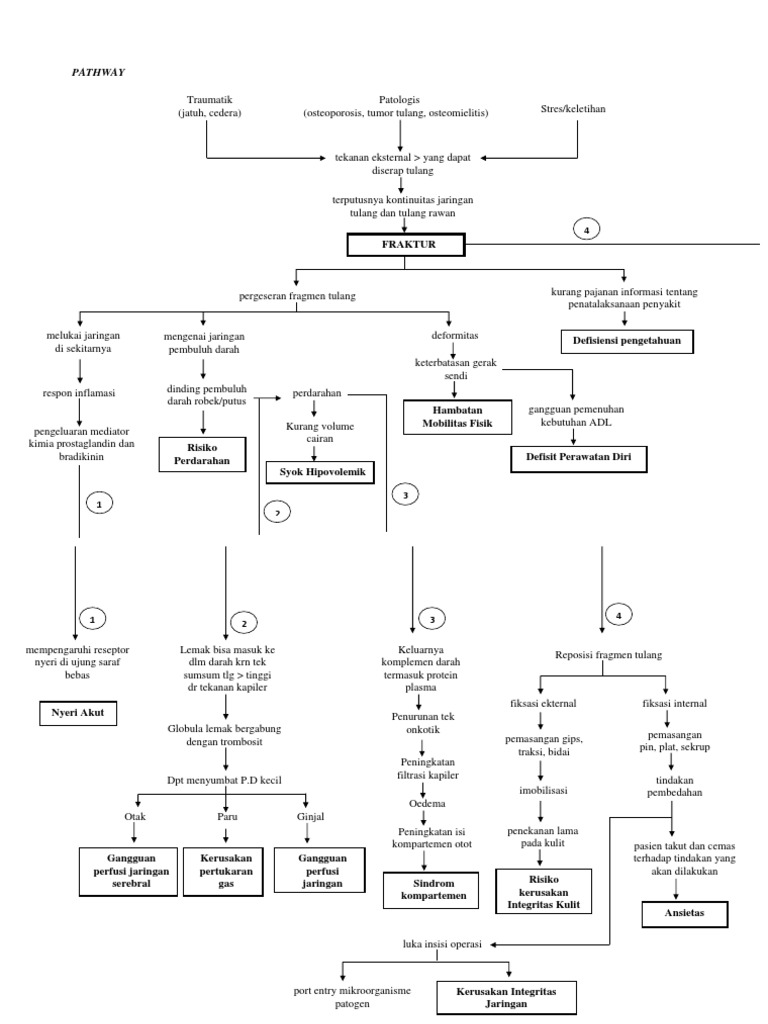 Pathway Fraktur | PDF