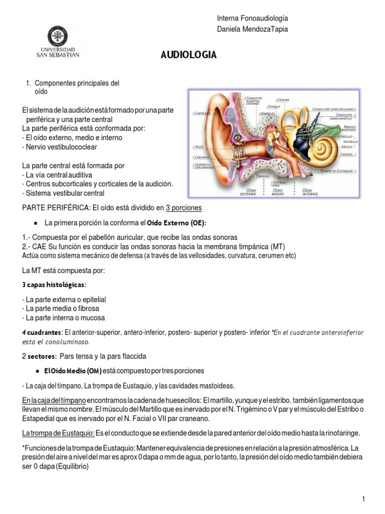 Anatomía y Fisiología del Oído | PDF | Oído | Sentidos
