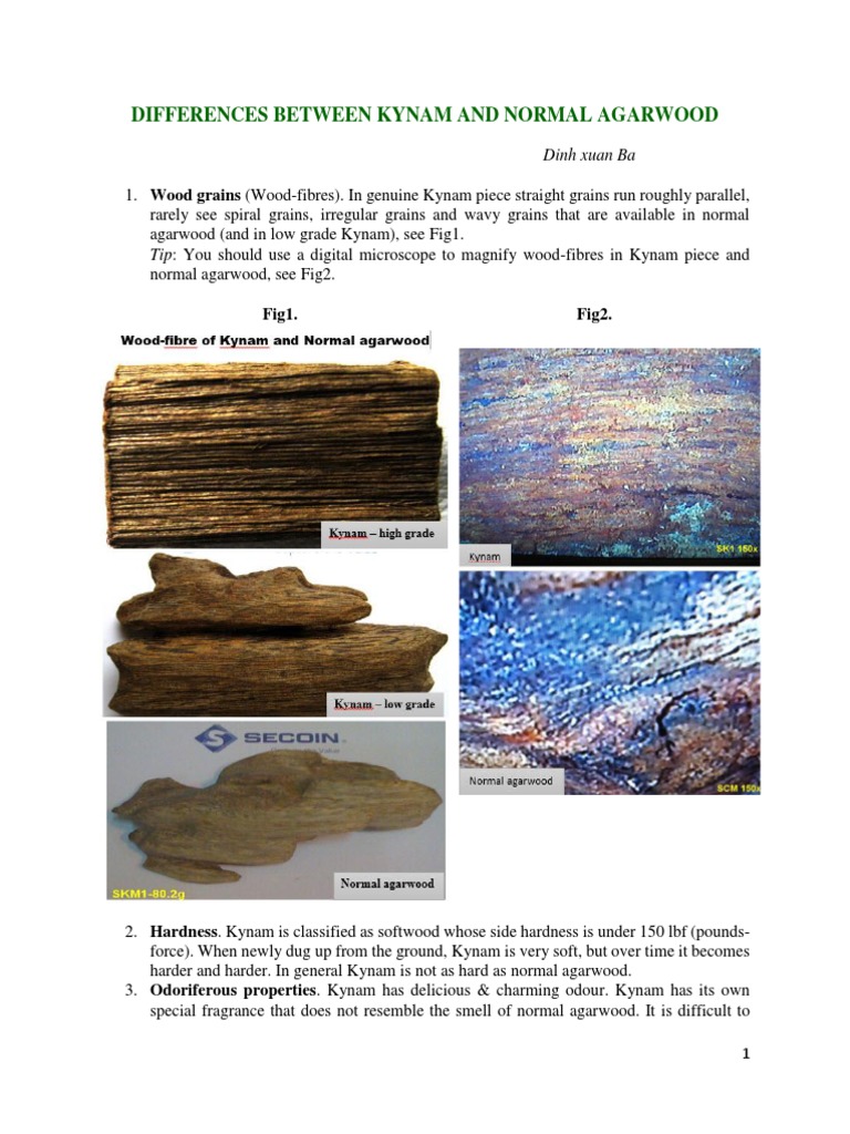 Differences Between Kynam and Normal Agarwood | PDF | Odor | Wood