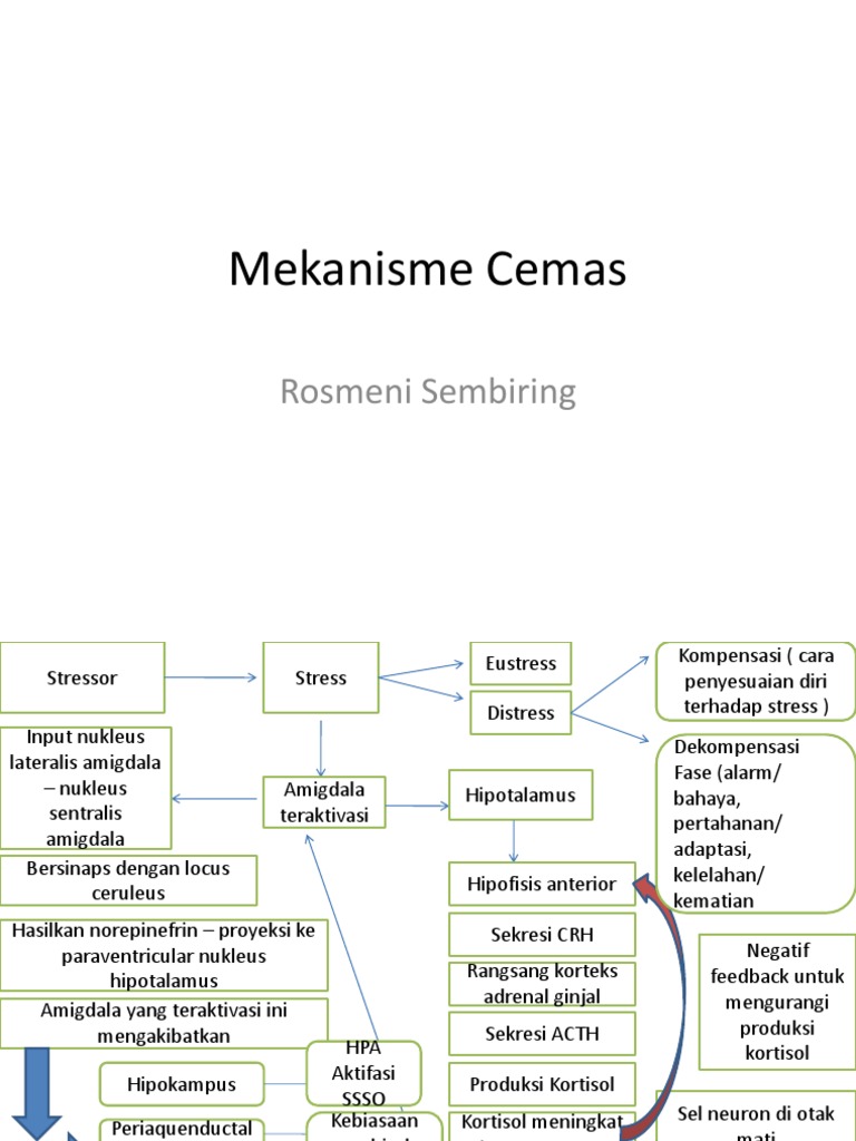 Mekanisme Cemas | PDF