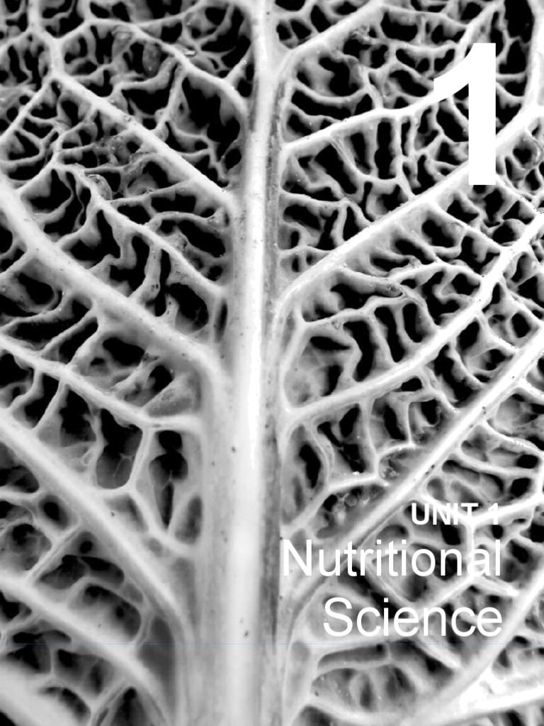 Understanding Cellular Nutrition Basics | PDF | Endoplasmic Reticulum ...