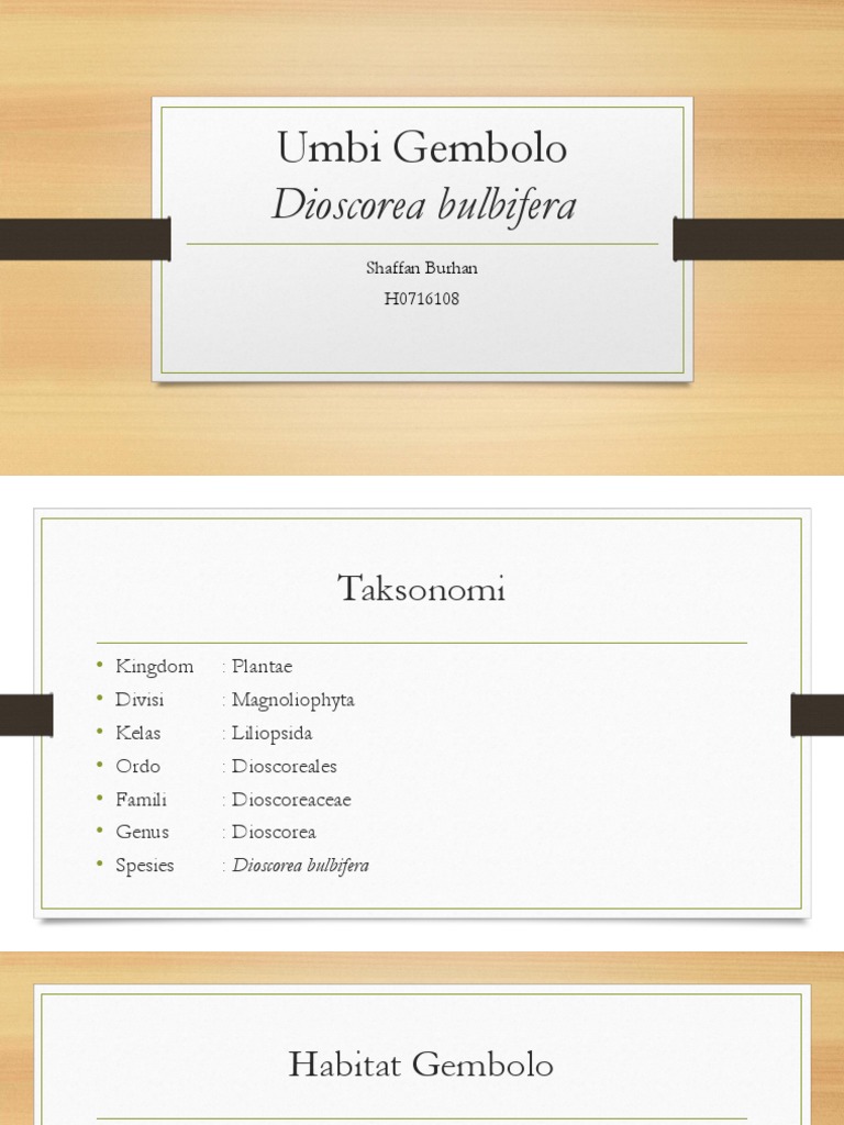 Umbi Gembolo | PDF