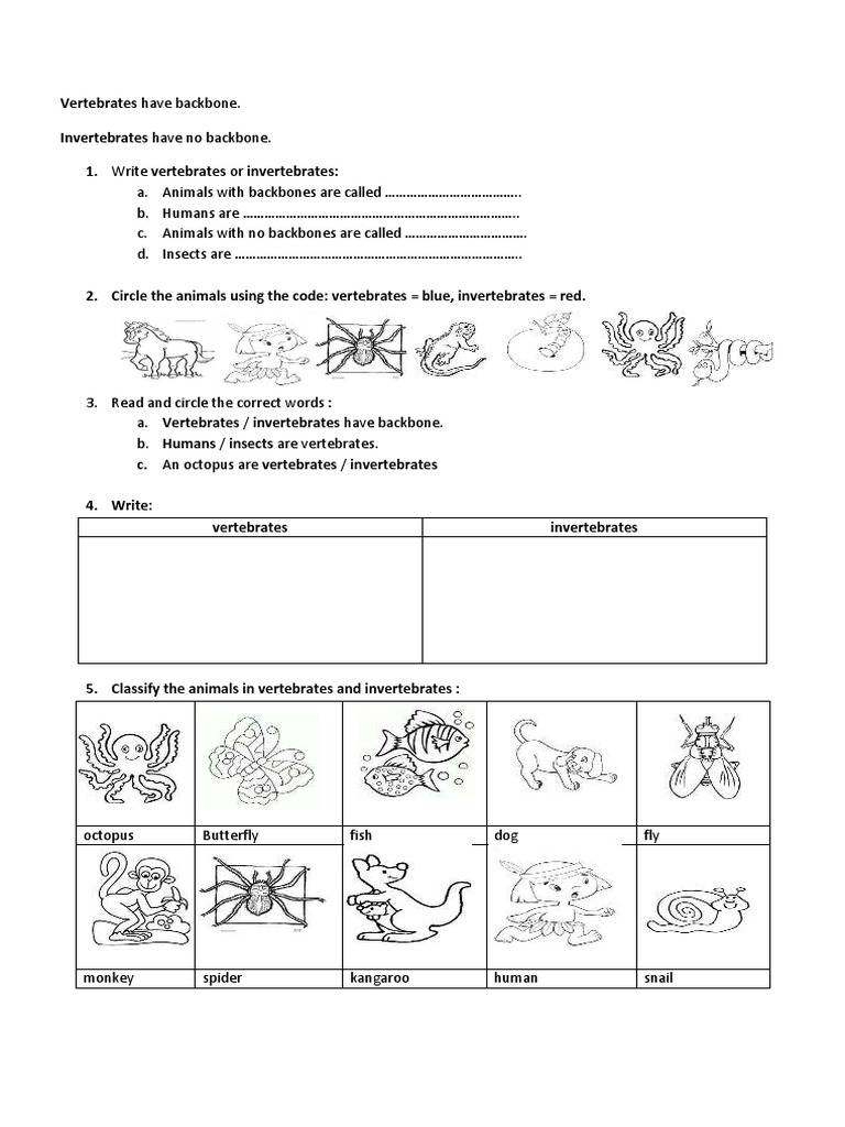 Vertebrates vs Invertebrates Worksheet | PDF | Language Arts ...