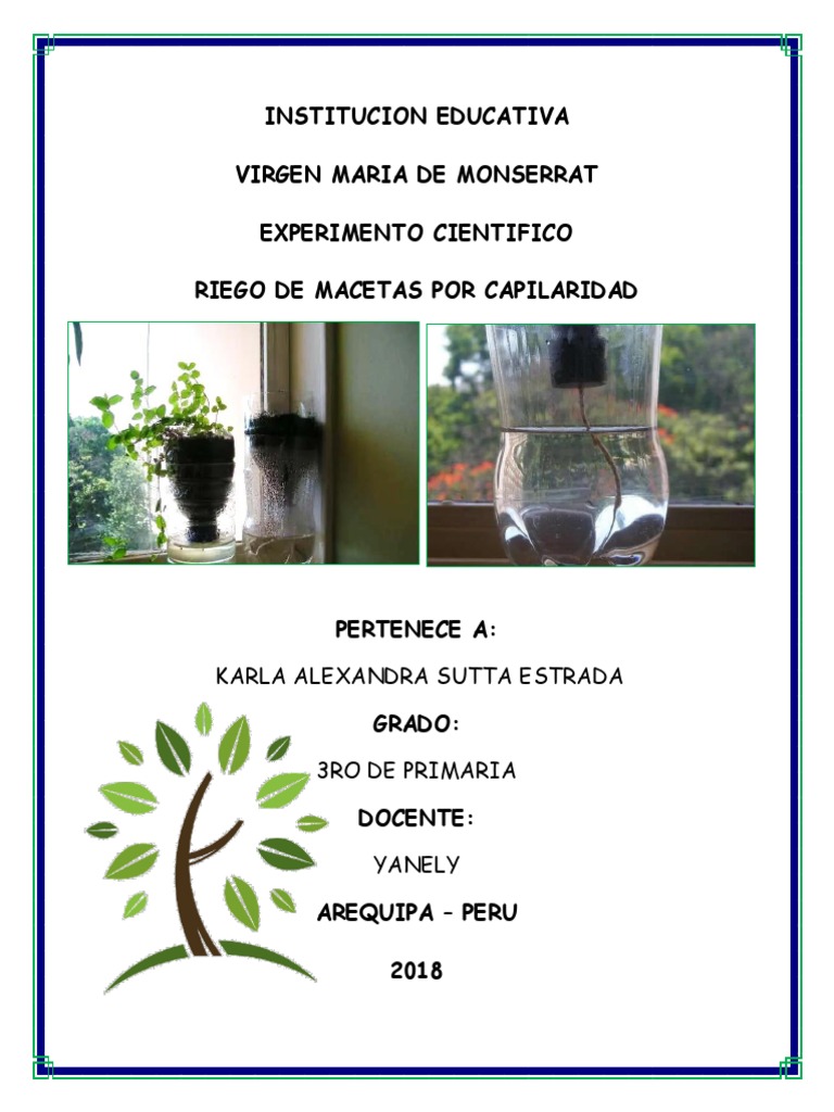 Riego Capilaridad Experimento | PDF | Riego | Suelo