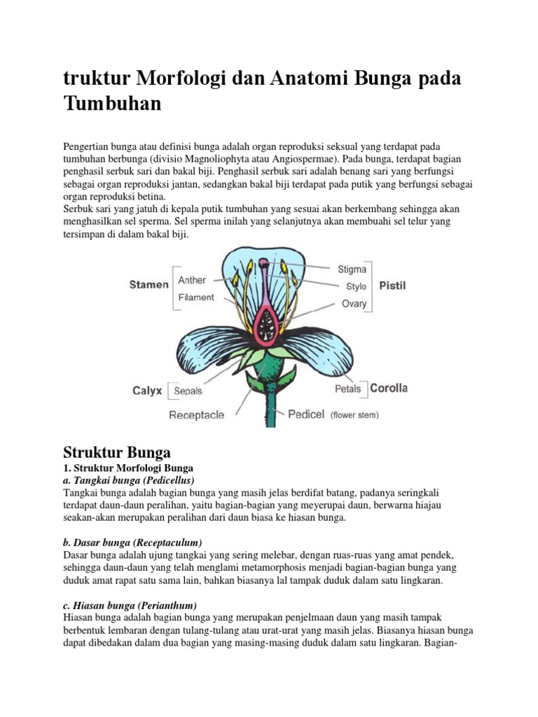 Truktur Morfologi Dan Anatomi Bunga Pada Tumbuhan | PDF