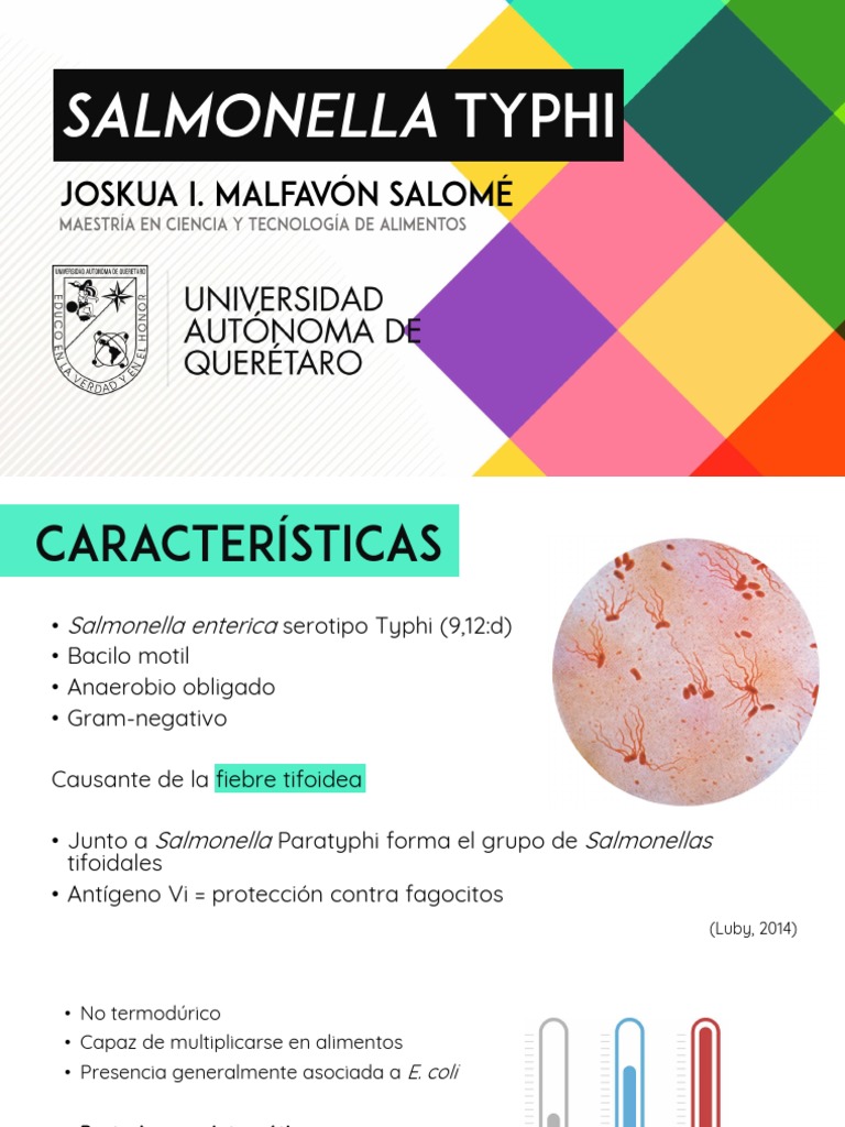 Antígeno Vi y Salmonella Typhi | PDF | Salmonela | Inmunología