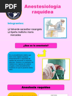 Anestesia Raquídea: Técnica y Complicaciones | PDF | Fluido ...